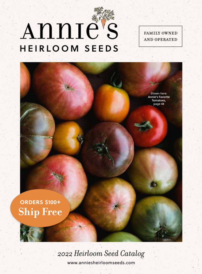 Catalogs.com - Free Catalogs by Mail and Online