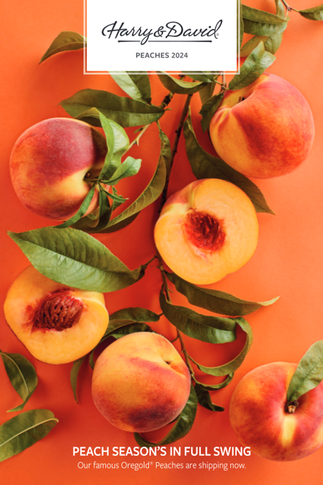 Free Catalog Figi’s Gallery 2025 Mail Order Catalog Request