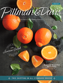 Free Catalog Figi’s Gallery 2021 Mail Order Catalog Request