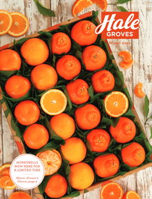 Free Catalog Figi’s Gallery 2021 Mail Order Catalog Request