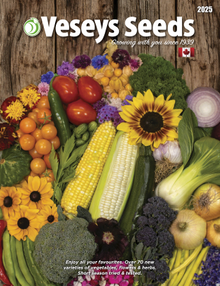 Free Catalog abc distributing® 2024 Mail Order Request