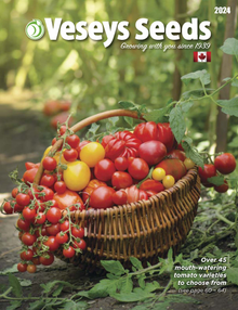 Mail order Catalogs 2024, Free Outdoor Yard Catalogs, Free Garden ...