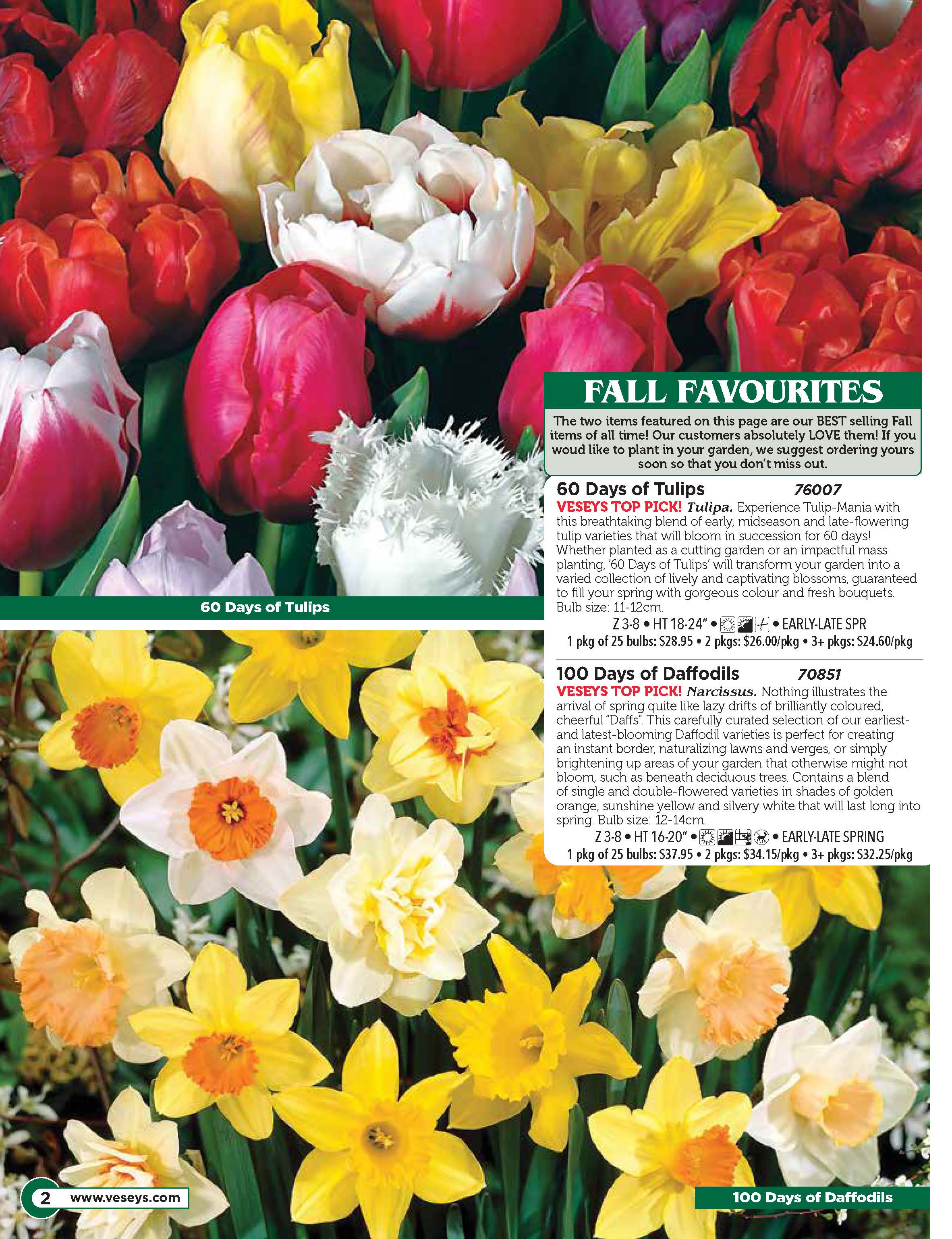 Digital Catalogs